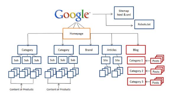 Alberatura Sito: Cos'è La Struttura Ad Albero Di Un Sito?